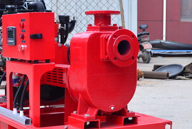 Self Priming Diesel Fire Pump